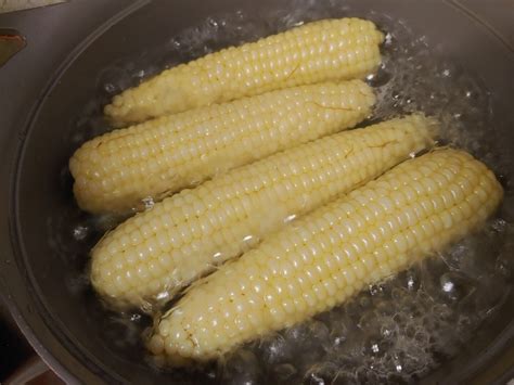 웰품 강원도 유기농 인증 찰옥수수