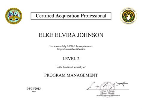 Program Management Level Ii Ppt