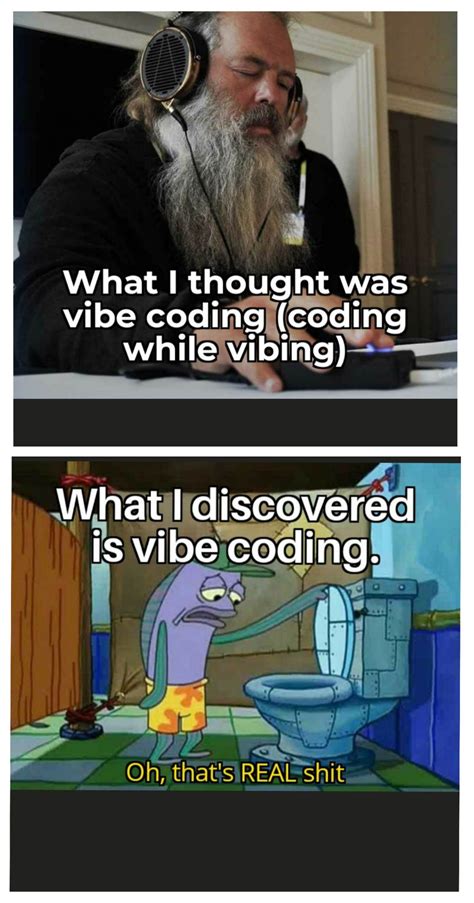Programmer Humor Vibecoding Facebook