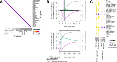 Tissue Specific Gene Signature And Widely Expressed Genes Exhibit Download Scientific Diagram