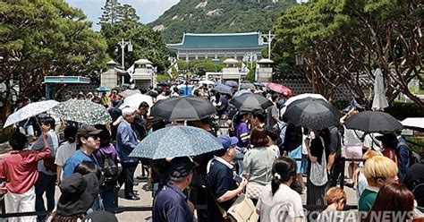 청와대 관람 8월부터 중단된다…집무실 복귀 비용 259억 책정