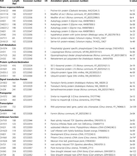 Homologies Of The Transcript Derived Fragments Tdfs To Known Download Table