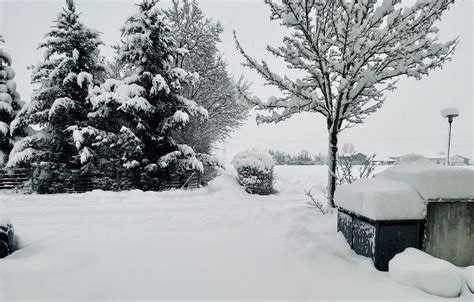 | Early Winter Snowstorm Paralyzes Southern GermanyFrequent Business ...