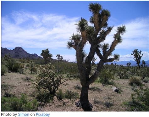 Unlock The Power Of Jquery Html With Javascript Gyata Learn About Ai Education And Technology