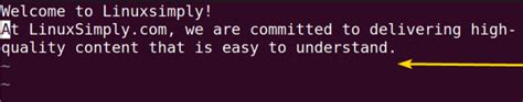 The Vim Command In Linux 8 Practical Examples
