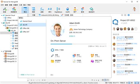 Navicat For Mongodb Mongodb 数据库管理和开发工具