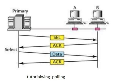 What Is Polling In Computer Networks With Example Tutorialwing