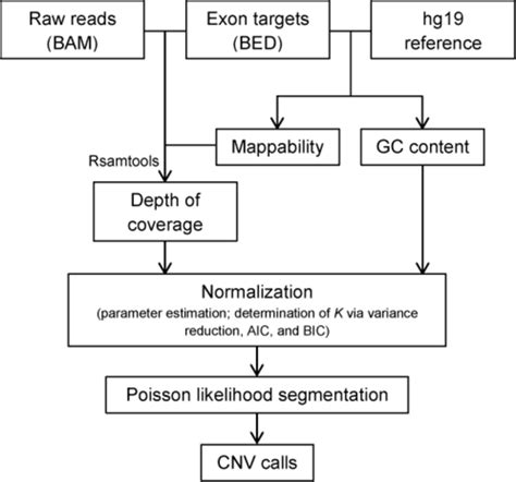 A Flowchart Outlining The Procedures Of Codex In Normalizing Wes Read