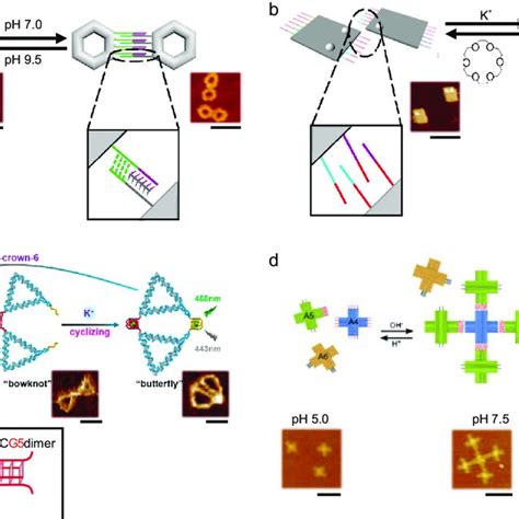Reversible Formation Of Higher Assemblies Of Dna Nanostructures Induced
