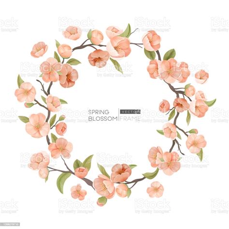 벚꽃 테두리 현실적인 봄 꽃 잎과 흰색 배경에 분기 라운드 프레임 결혼 초대 인사말 카드 배너 또는 포스터 템플릿을 위한 디자인 요소입니다 벡터 일러스트레이션 꽃 나무에