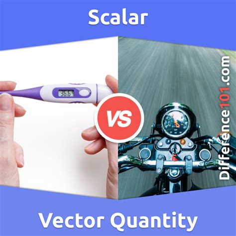 Scalar Vs Vector Quantity 5 Key Differences Pros And Cons Similarities Difference 101