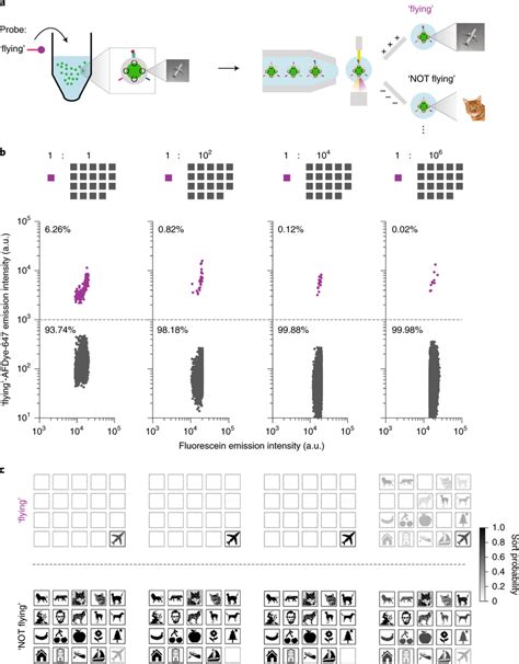 Single Barcode Sorting A Schematic Diagram Of File Sorting Using FAS Download Scientific