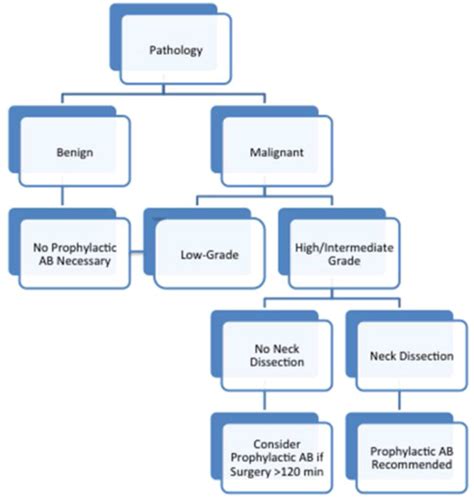 Algorithm For Prophylactic Antibiotic Ab Treatment In Parotid Gland Download Scientific