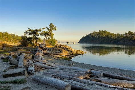 I Heart Pacific Northwest