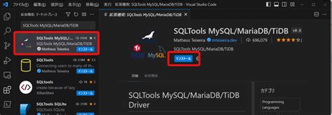 VSCode 機能拡張SQLTools MySQL MariaDB TiDB ウェルフィールドWellField