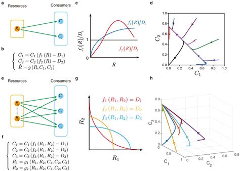 Competitive Exclusion Principle