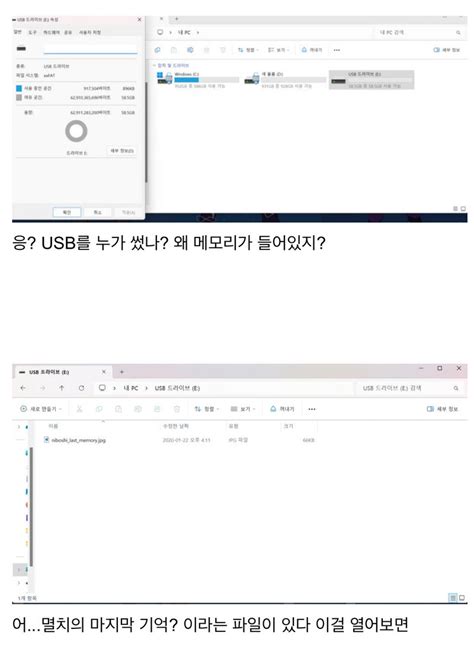 펌글 생물의 뇌로 만든 Usb 유머이슈 Yuldo
