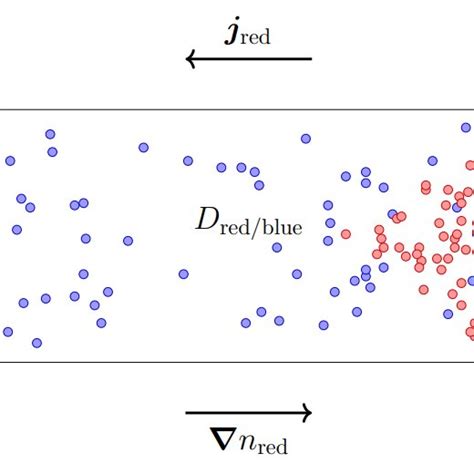 2 Illustration Of Particle Diffusion Higher Concentration Of Red