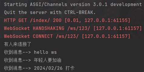 Websocket在django中的运用drfwebsocket Csdn博客