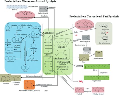 Typical Reactions In Microwave Assisted And Conventional Fast Pyrolysis