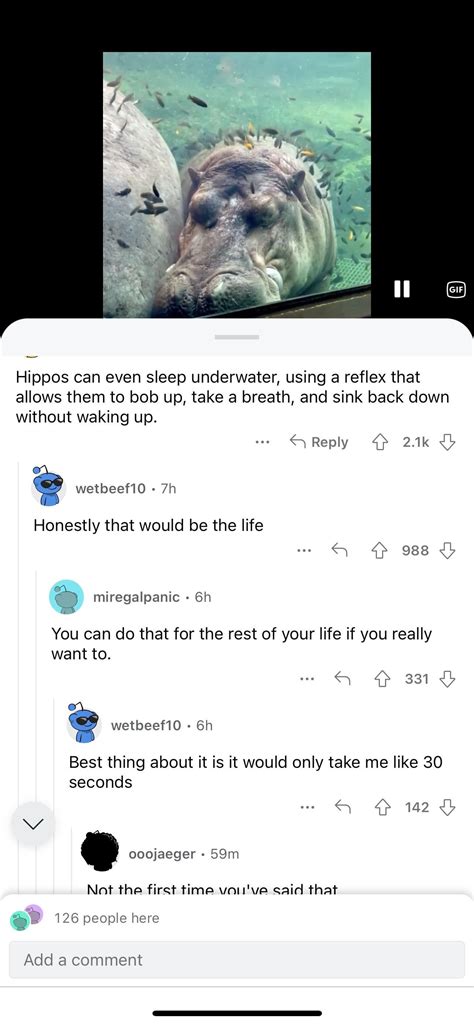 We Can Replicate Hippo Behavior Rholup