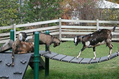 Activerain S Re Blog Re Butt Wouldja