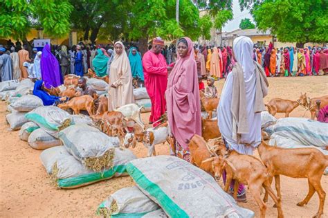 Ahmad Abdullahi On Linkedin If Agriculture Goes Wrong Nothing Else