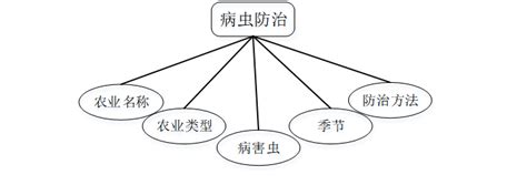 计算机毕业设计java基于javamysql技术的蔬菜病虫害防治网站设计与实现 基于java与mysql的蔬菜病虫害防治信息管理系统开发与应用 Java驱动的蔬菜病虫害防治网站构建与