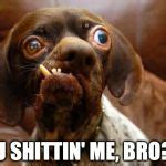 Ugly Dog Meme Generator Imgflip