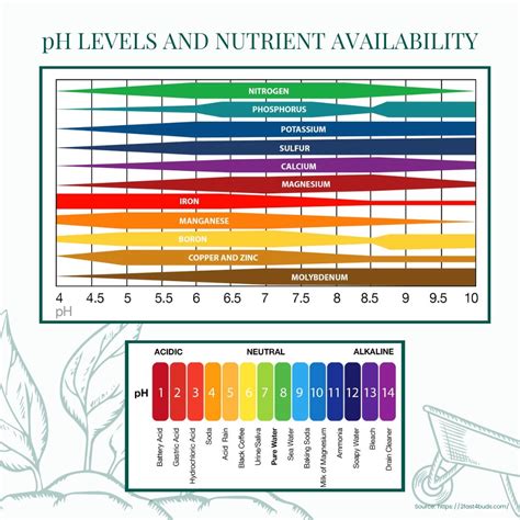 The Soil PH Ultimate Beginners Guide Quality Garden Supplies