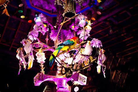 In The Tiki Tiki Tiki Tiki Tiki Room So Adorable I Love T Flickr