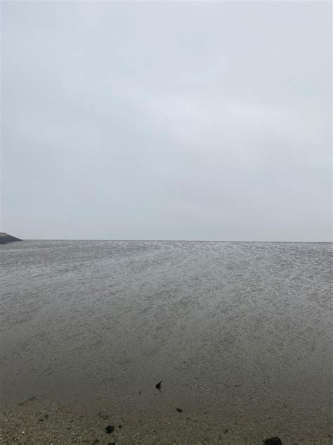 My Irl World Stopped Rendering Rgamingirl