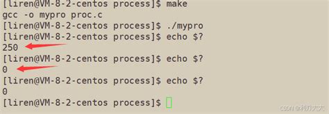 【linux进程控制】二、进程终止程序退出码 Csdn博客