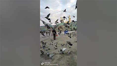 Salaam Ya Maula Abbas As Shorts Karbala Ziyarat Liveziyarat Mola Hussain Abbas Ali Youtube