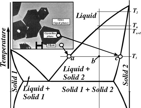 Hypothetical Diagram To Illustrate Experimental Technique For Download Scientific Diagram