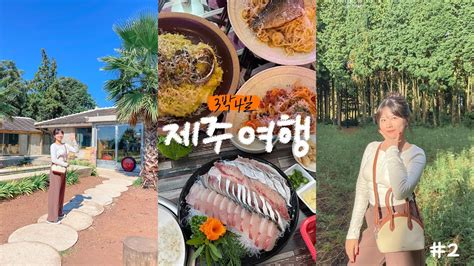 제주여행 Vlog🍊 2 우도에서 만난 인생 해변🤍 렌트카로 관광지 뿌시기🚗 카페 벨진밧 성산 파스타맛집 방어회 우도 여행 Youtube