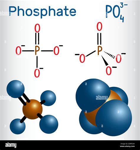 Phosphate Ion Structure