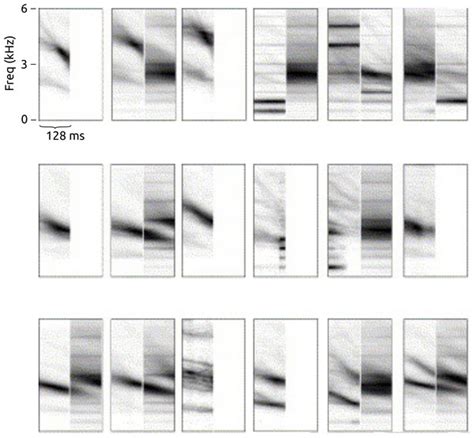 Automatic Large Scale Classification Of Bird Sounds Is Strongly Improved By Unsupervised Feature