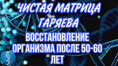 Чистая Матрица Гаряева Восстановление организма после 50 60 лет Youtube