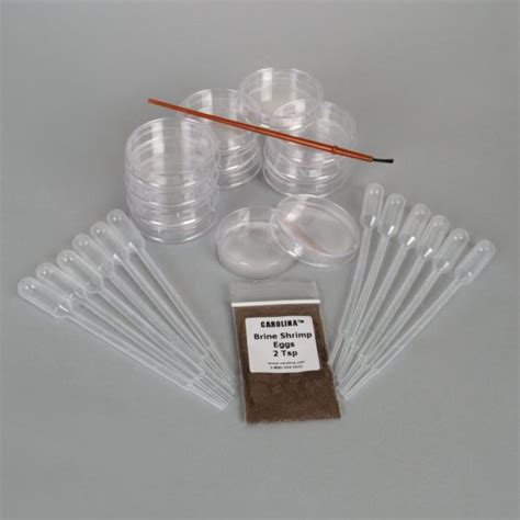 Natural Selection Salt Concentration On Brine Shrimp Carolina Distance Learning