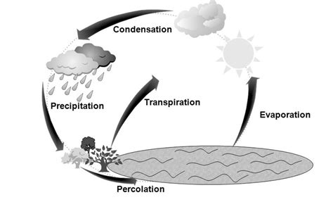 Percolation In The Water Cycle