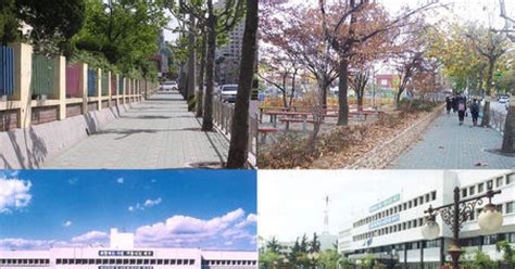 대구 담장 허물기 운동으로 22년간 321km 담장 사라졌다