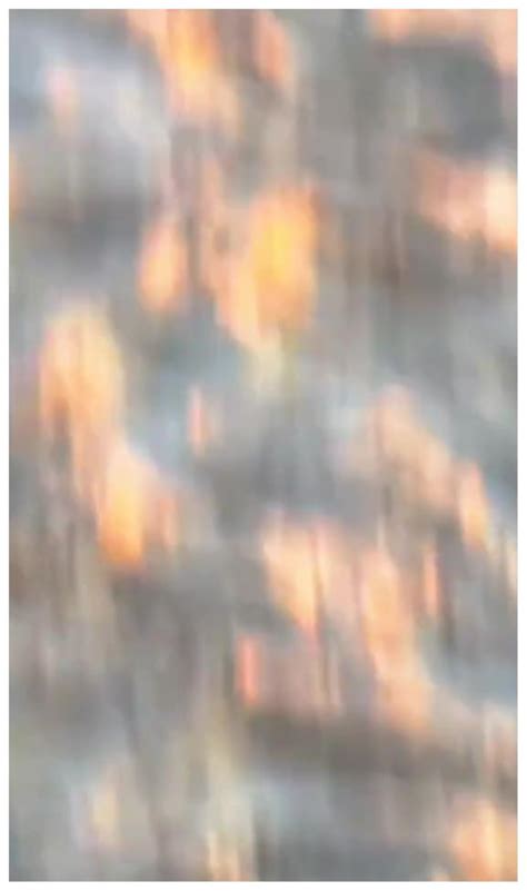 人往往因缺少一句真实的话来鼓励而一蹶不振正能量文案