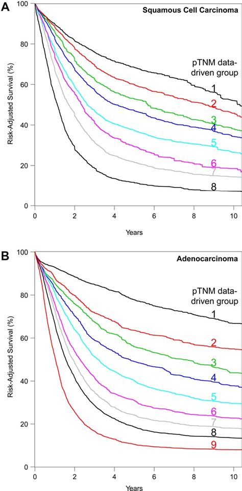 Pdf Recommendations For Pathologic Staging Ptnm Of Cancer Of The Esophagus And