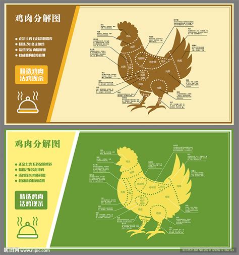 鸡肉分解图设计图 展板模板 广告设计 设计图库 昵图网