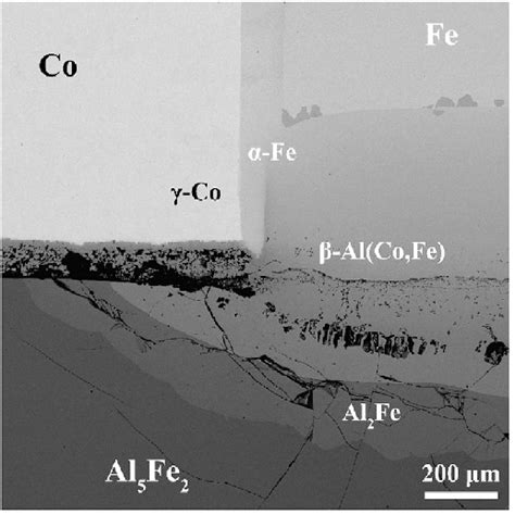 Sem Bse Image Of The Diffusion Region Formed In The Co Fe Al 5 Fe 2