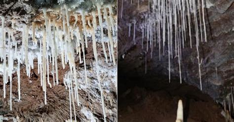 터널공사 중 발견된 영월 분덕재동굴 천연기념물 된다