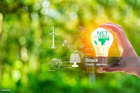 넷 제로 개념은 지구 온난화를 줄이는 데 도움이 됩니다 녹색 잎에 자연 배경 전구를 들고 있는 손은 그 주위에 청정 에너지 아이콘이 있다 산업 순 제로 탄소 개념의 이산화