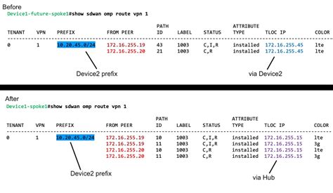Cisco Catalyst Sd Wan Routing Configuration Guide Cisco Ios Xe