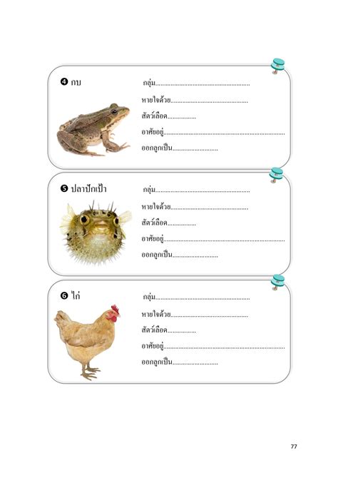 วิทย์ใบงาน ป 4 เทอม 1 หลักสูตรใหม่ Krujah Hayeekaleng หน้าหนังสือ 77 พลิก Pdf ออนไลน์